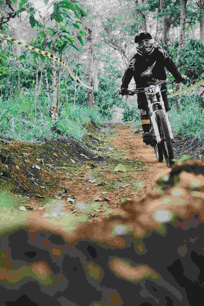 What Muscles Does Biking Work? A Comprehensive Guide To The Targeted ...